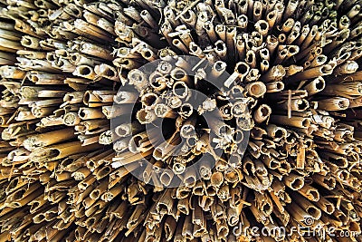 Stick Texture Royalty-Free Stock Image | CartoonDealer.com #25531612