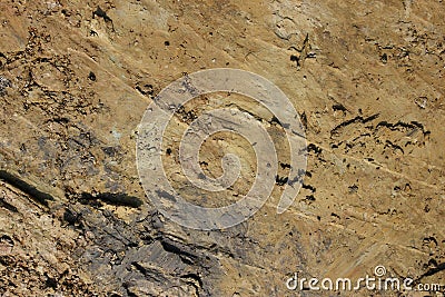 Sticky Soil Texture For Nature Background Royalty-Free Stock Photo ...