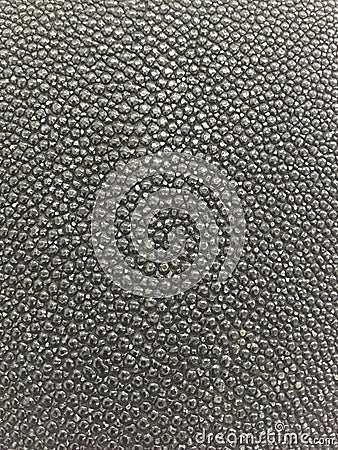 Stingray Skin Texture Stock Photo - Image: 60101542