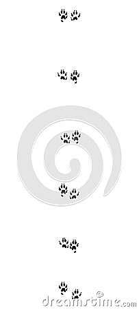 Stoat Tracks Black Footprints Vector Illustration | CartoonDealer.com ...