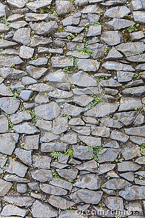 Stone Brick Pathway Texture Stock Photo | CartoonDealer.com #175832694