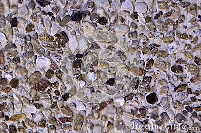 Stone And Shell Wall Texture Royalty-Free Stock Image | CartoonDealer ...
