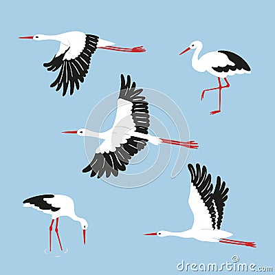 Stork Birds Vector Illustration. Set Of Standing And Flying White ...