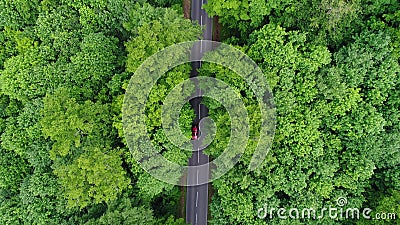 Straße Durch Einen Wald - Vogelperspektive Stock Video - Video von nave ...