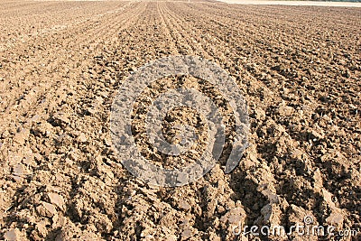 17,333 Furrow Photos - Free & Royalty-Free Stock Photos from Dreamstime