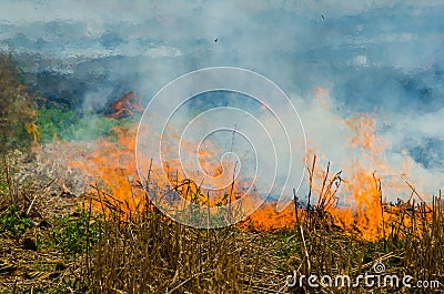 Straw Fire Royalty-Free Stock Photography | CartoonDealer.com #52451609