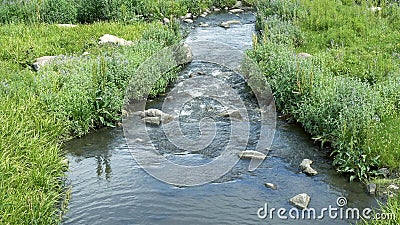A Stream Flows through a Green Meadow. Stock Video - Video of streatm ...