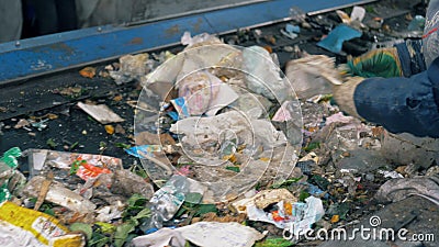 Stream of Rubbish is Getting Sorted by a Plant Worker. Waste Recycling ...