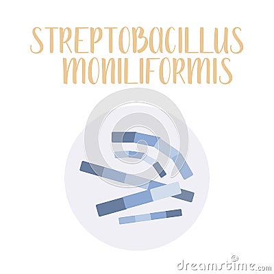 Streptobacillus Moniliformis, Pathogen. Rod-shaped, Gram-negative ...
