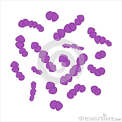 Streptococcus Pneumoniae Bacteria Cell Medical Diagram Icon Vector ...