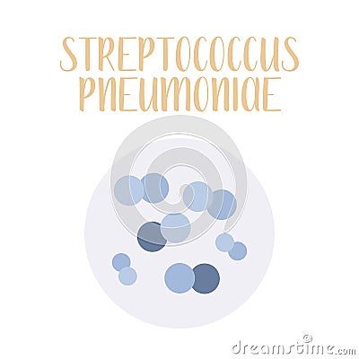 Streptococcus Pneumoniae. Pneumococcus, Pathogen. Spherical Gram ...