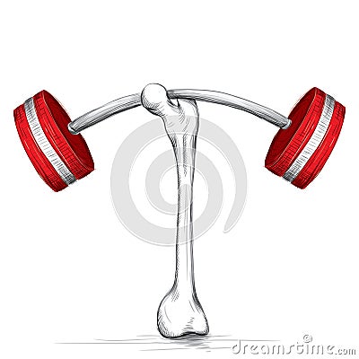 Strong Bone Stock Vector - Image: 48236048