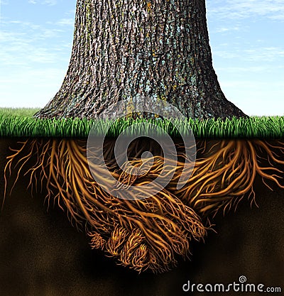 Strong Business Roots Stock Photos - Image: 26526723