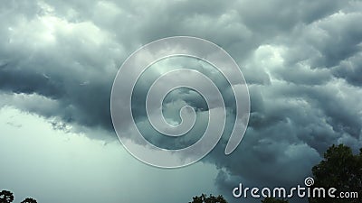 Strong Wind Shaking Trees. View of the Lightning in Storm Clouds Stock ...