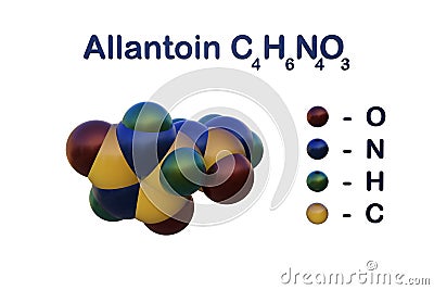 Structural Chemical Formula And Molecular Model Of Allantoin, A Major ...