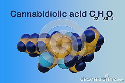 Structural Chemical Formula And Molecular Model Of Cannabidiolic Acid ...