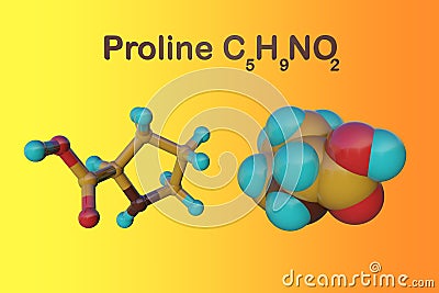 Structural Chemical Formula And Molecular Model Of Proline. Proline Is ...