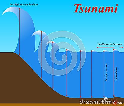 The Structure Of Earthquake Tsunami. Education Chart Of Natural ...