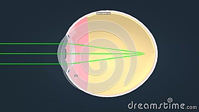 Structure of the Human Eye and Anatomy of Vision Stock Footage - Video ...