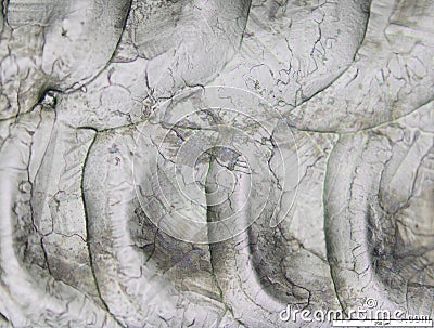 Structure Of Laser Titanium Under A Microscope. Stock Photo ...