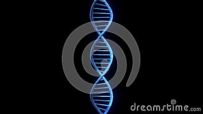 Structure Molecules DNK Rotate Loop. Analysis of Dna. Spirals and Blood ...