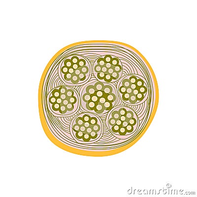 Structure Of Tendon. Infographics. Vector Illustration On Isolated ...