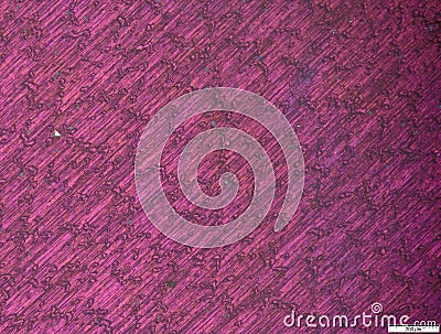 Structure Of Titanium Under A Microscope. Royalty-Free Stock Image ...