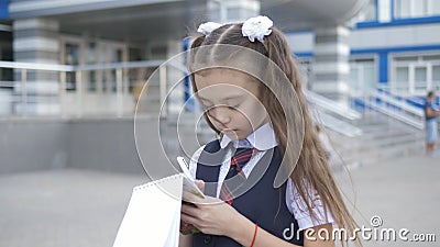 Student-centered Elementary School in School Uniform Writes or Draws ...