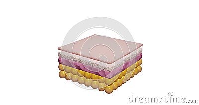 Stylized 3d Rendering Animation Layers Dermis Epidermis Subcutaneous ...