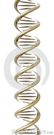 Stylized DNA Double Helix Stock Photography - Image: 2218982