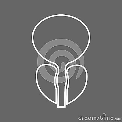Stylized Human Prostate Anatomy Line Icon. Royalty-Free Stock ...