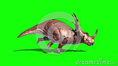 Styracosaurus Triceratops Run Front Static Loop Dinosaurs Jurassic ...