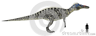 Suchomimus Size Comparison Royalty-Free Stock Photo | CartoonDealer.com ...