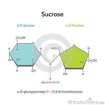 Sucrose Disaccharide Table Sugar Vector Illustration Structure Diagram ...