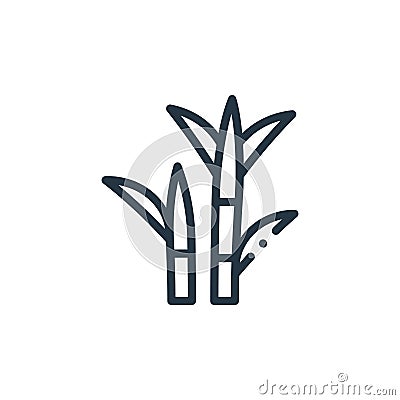 Sugar Cane Vector Icon Isolated On White Background. Outline, Thin Line ...