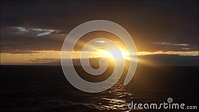 Sun Rays at Dawn stock footage. Video of morning, black - 48138782