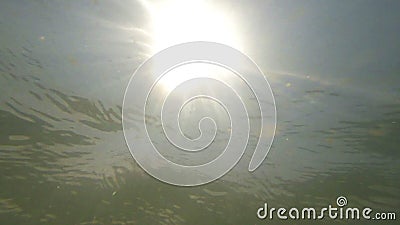 Sun in Shallow Water Shining through Stock Video - Video of clear ...