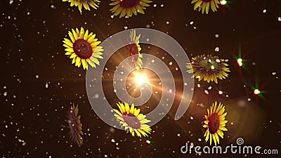 Sunflower Summer Flower Loop Animation Stock Video - Video of farm ...