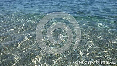 Sunny beach, Greece stock video. Video of green, sand - 43910037