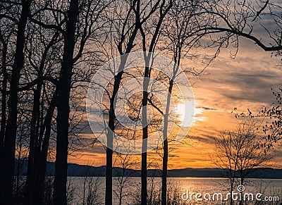 Sunset Through Trees On Lake Stock Photo - Image: 53622211