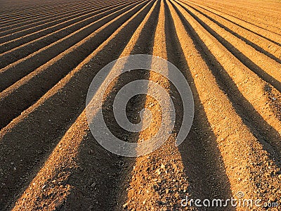 Surcos Listos Para Sembrar Imagen de archivo - Imagen: 35006221