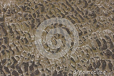 Mud background Images - Search Images on Everypixel