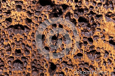 A Surface With Holes. Use For The Concept And The Concept Of ...