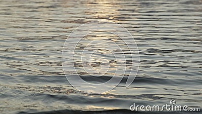 Surface of the Natural Reservoir - River Texture with Small Waves ...