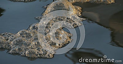 Surface of Polluted Water, France Stock Footage - Video of nature ...