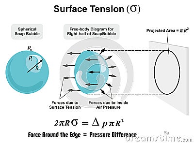 Surface Tension Cartoon Vector | CartoonDealer.com #92206295