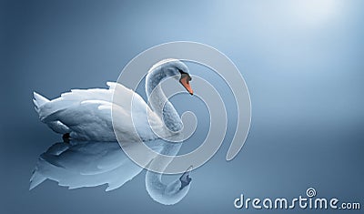 Swan Royalty Free Stock Images - Image: 17474389
