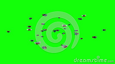 Swarm Of Flies. 3D Animation In Cartoon Style. Green Screen, Loopable ...