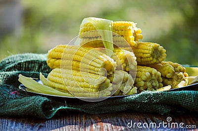 New Stock Photos & Images | The Latest Hi-Res Stock Photography ...