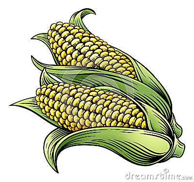 Sweet Corn Ear Maize Woodcut Etching Illustration | CartoonDealer.com ...